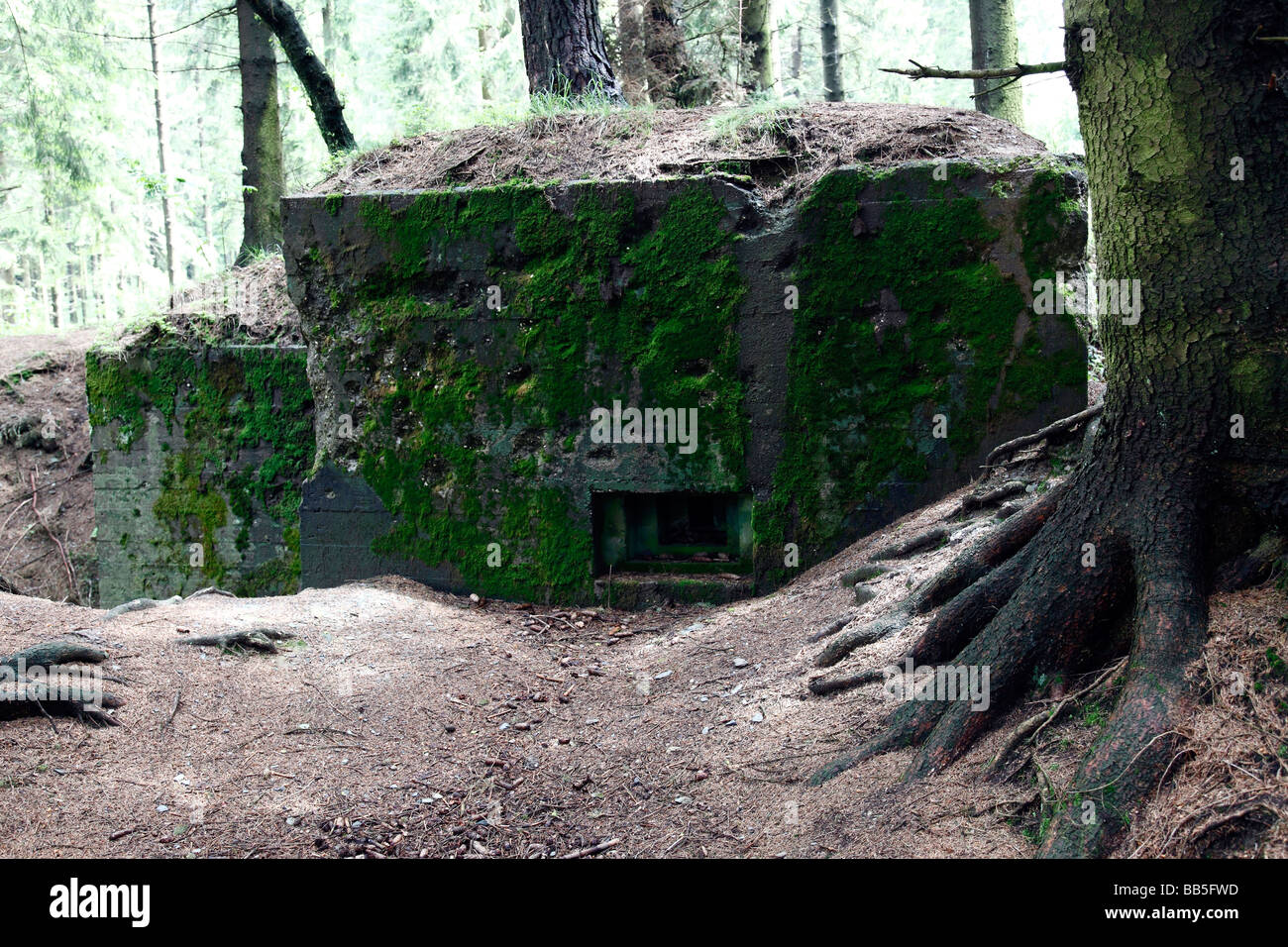 Siegfried line german bunker in hi-res stock photography and images - Alamy