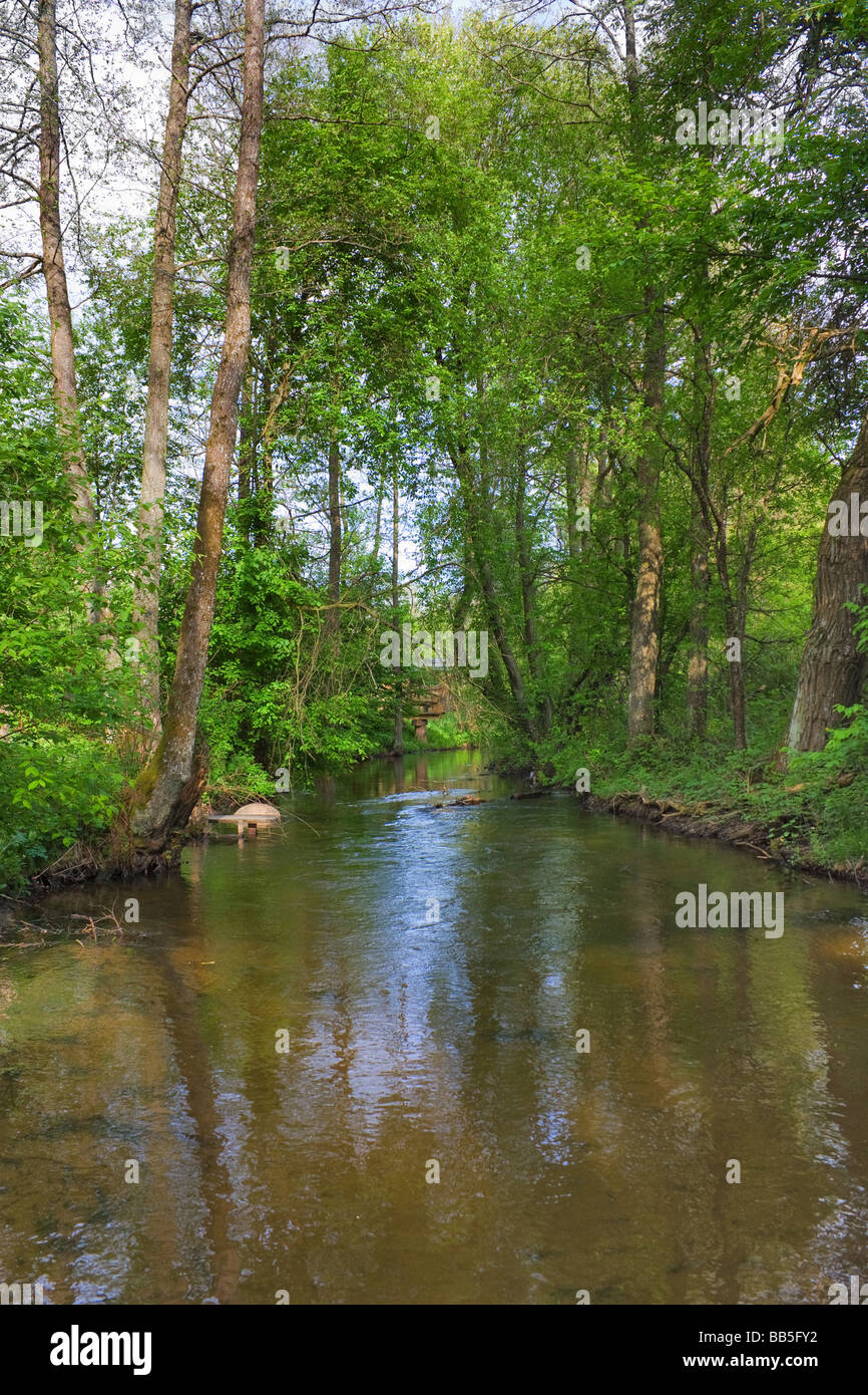 River forest hi-res stock photography and images - Alamy