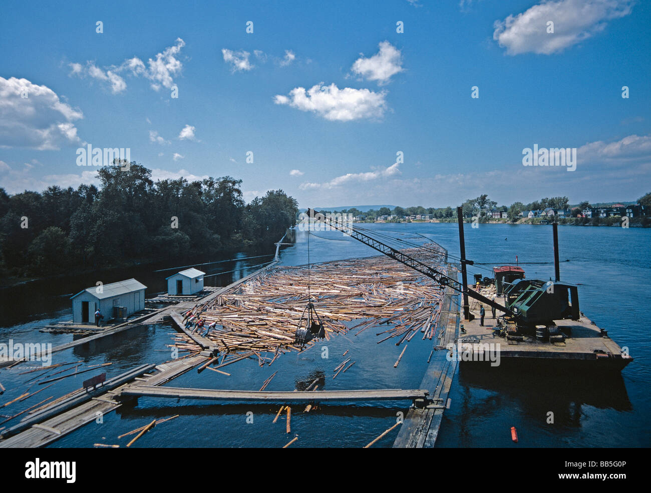 Timber logging canada quebec hi-res stock photography and images - Alamy