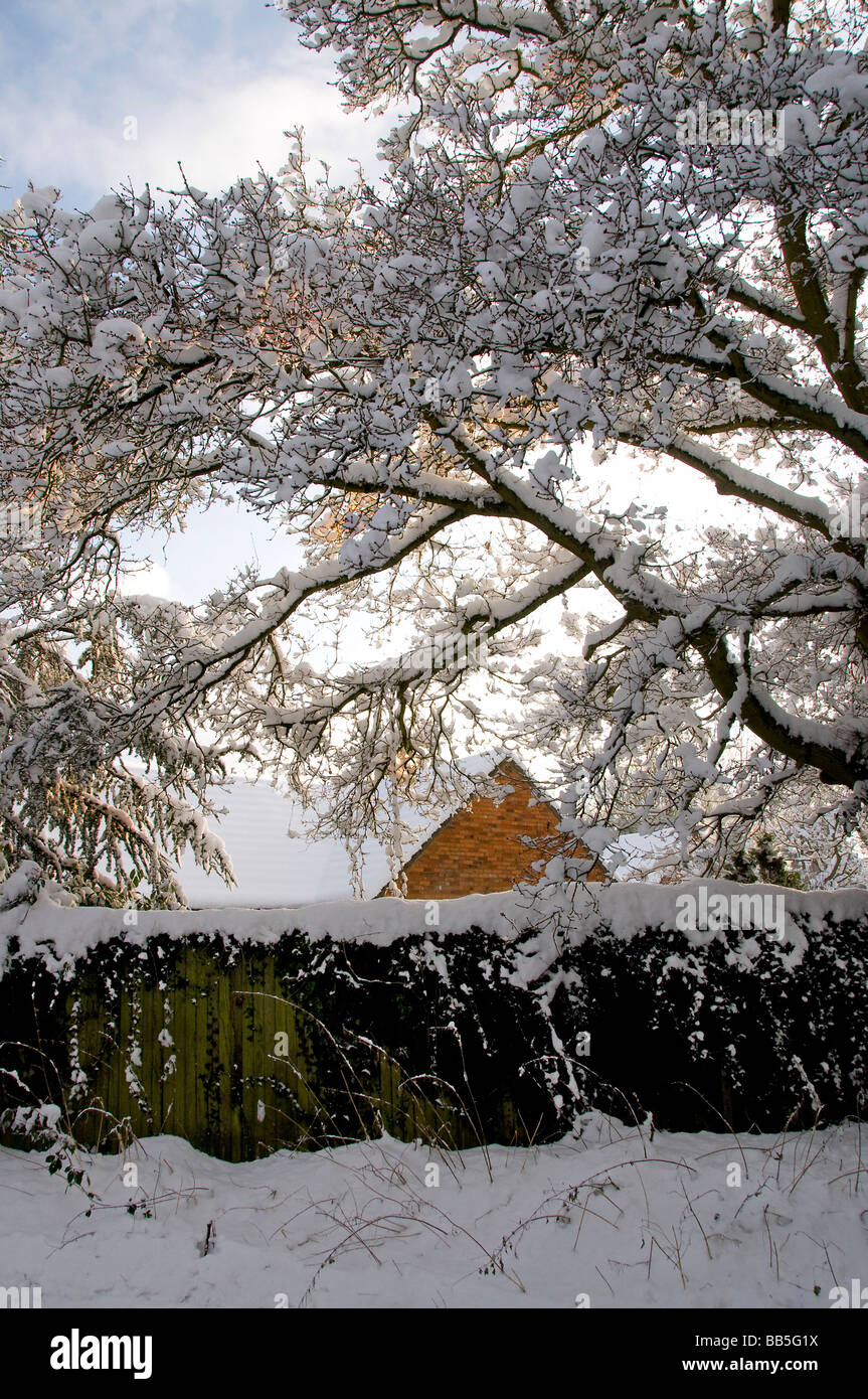 Snow scene in Surrey Stock Photo - Alamy