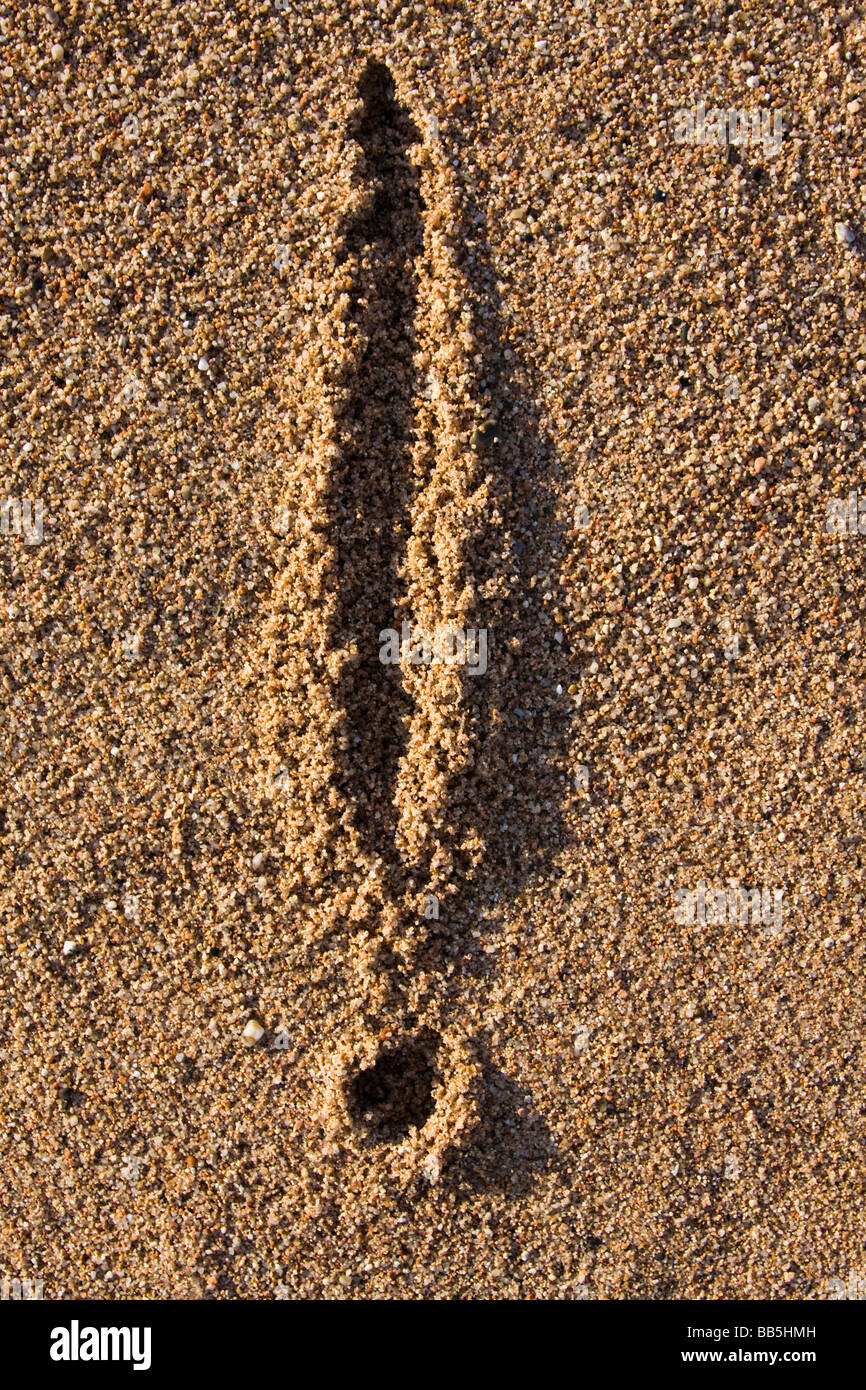 closeup of a exclamation mark sign in sand on a beach Stock Photo - Alamy