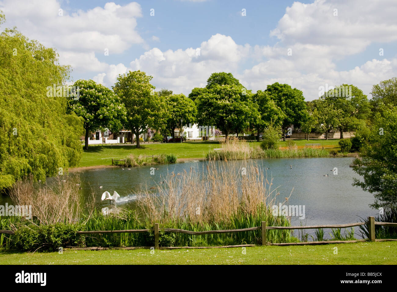 Ham Common Richmond Upon Thames Surrey England Stock Photo - Alamy