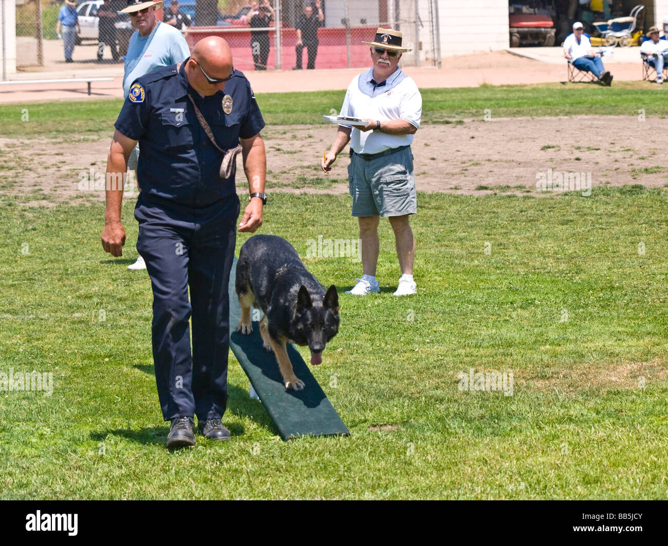 Police officer/handler commands his dog in the agility phase of the k9 ...