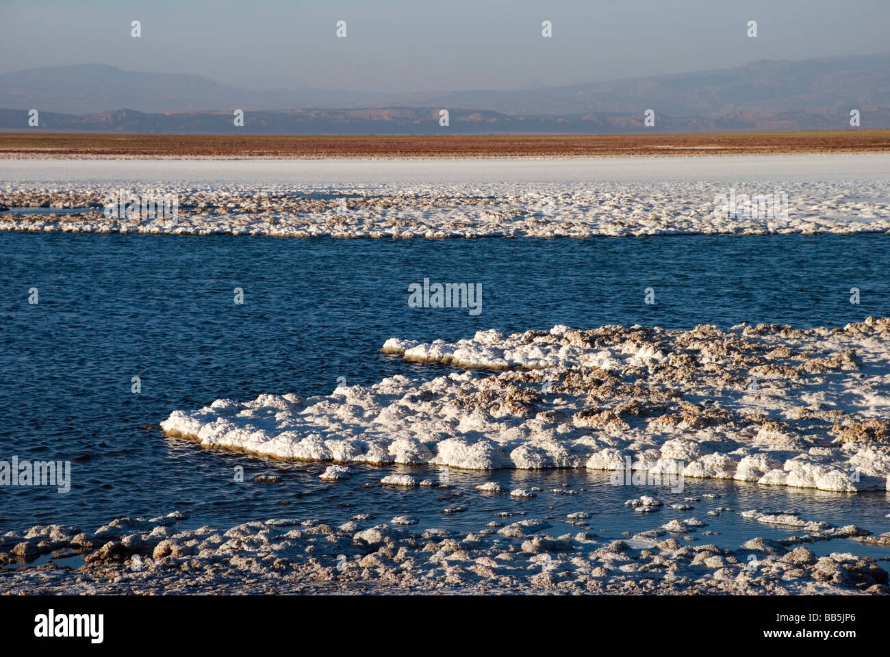 Salar de Atacama, Chile Stock Photo - Alamy