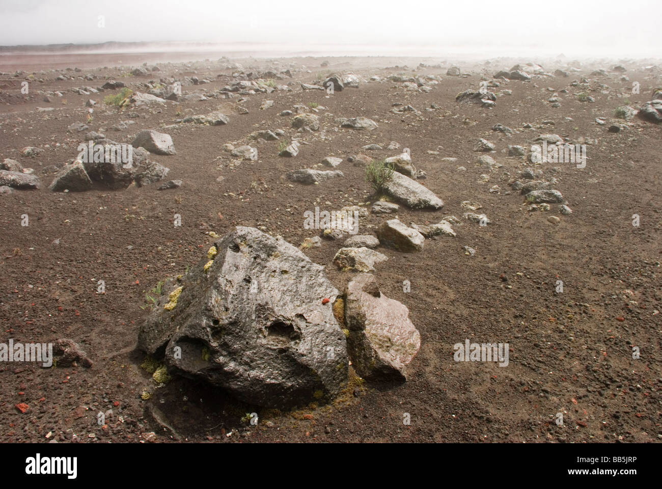 Desolacion de Volcan Llaima, Chile Stock Photo - Alamy