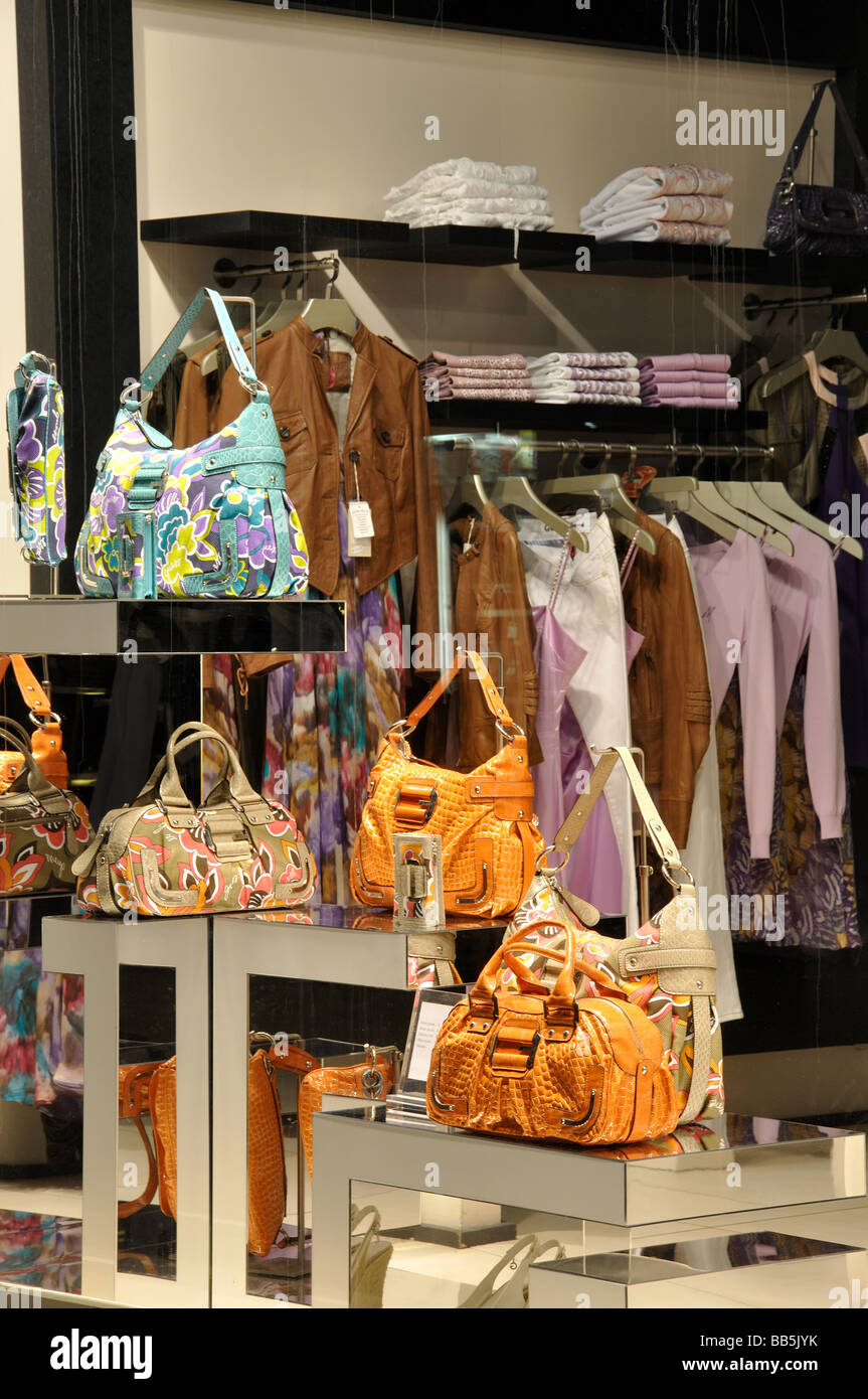 Handbags in fashion boutique window, Venice, Venice Province, Veneto ...