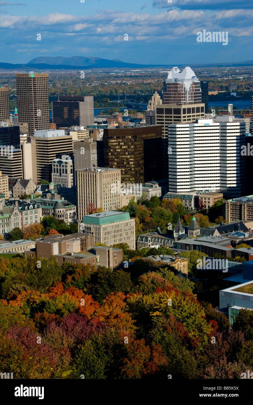 Canada quebec trees hi-res stock photography and images - Alamy
