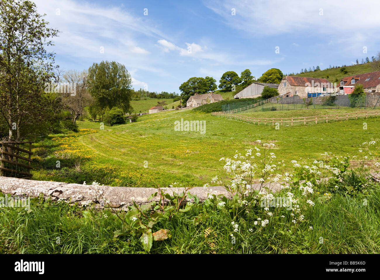 Early summer in a Cotswold valley at Newington Bagpath, Gloucestershire ...