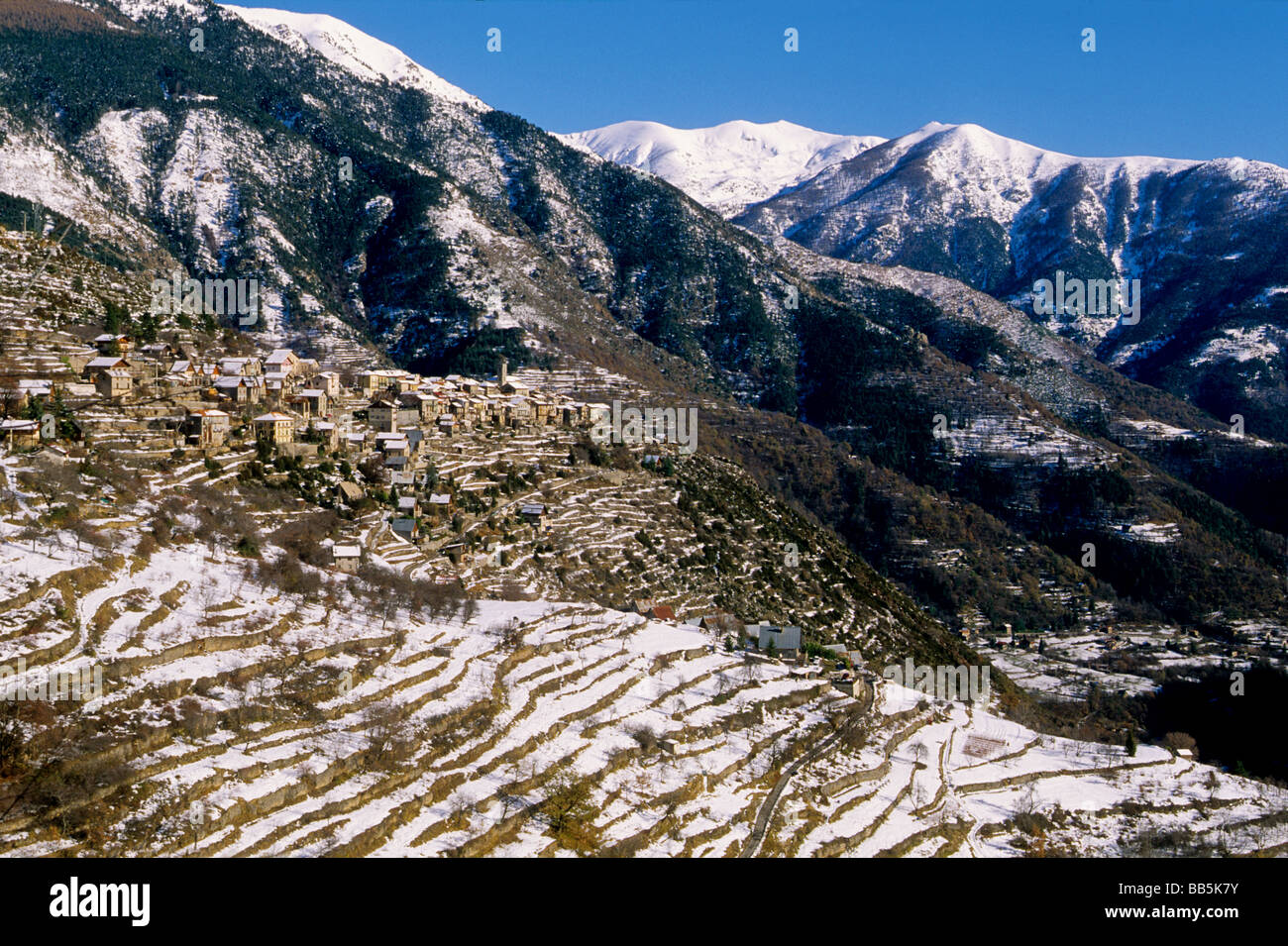 Venanson High Resolution Stock Photography and Images - Alamy
