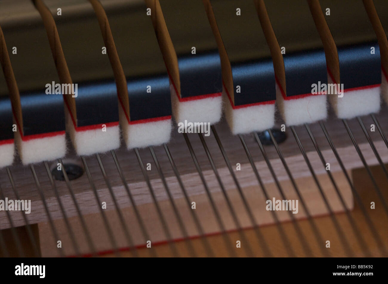 Inside a piano hi-res stock photography and images - Alamy