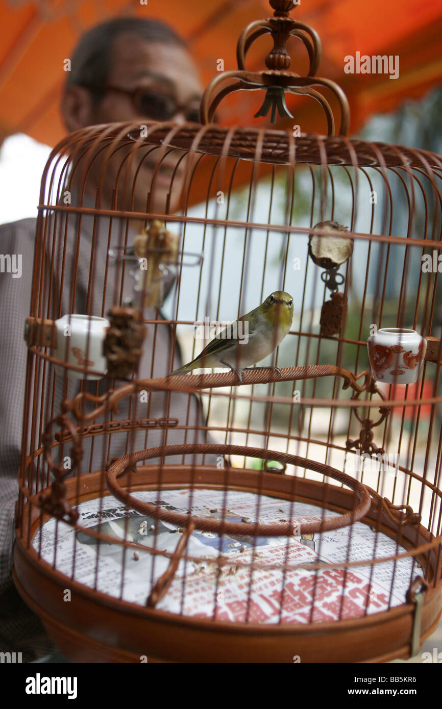 Show birds in cage hi-res stock photography and images - Alamy