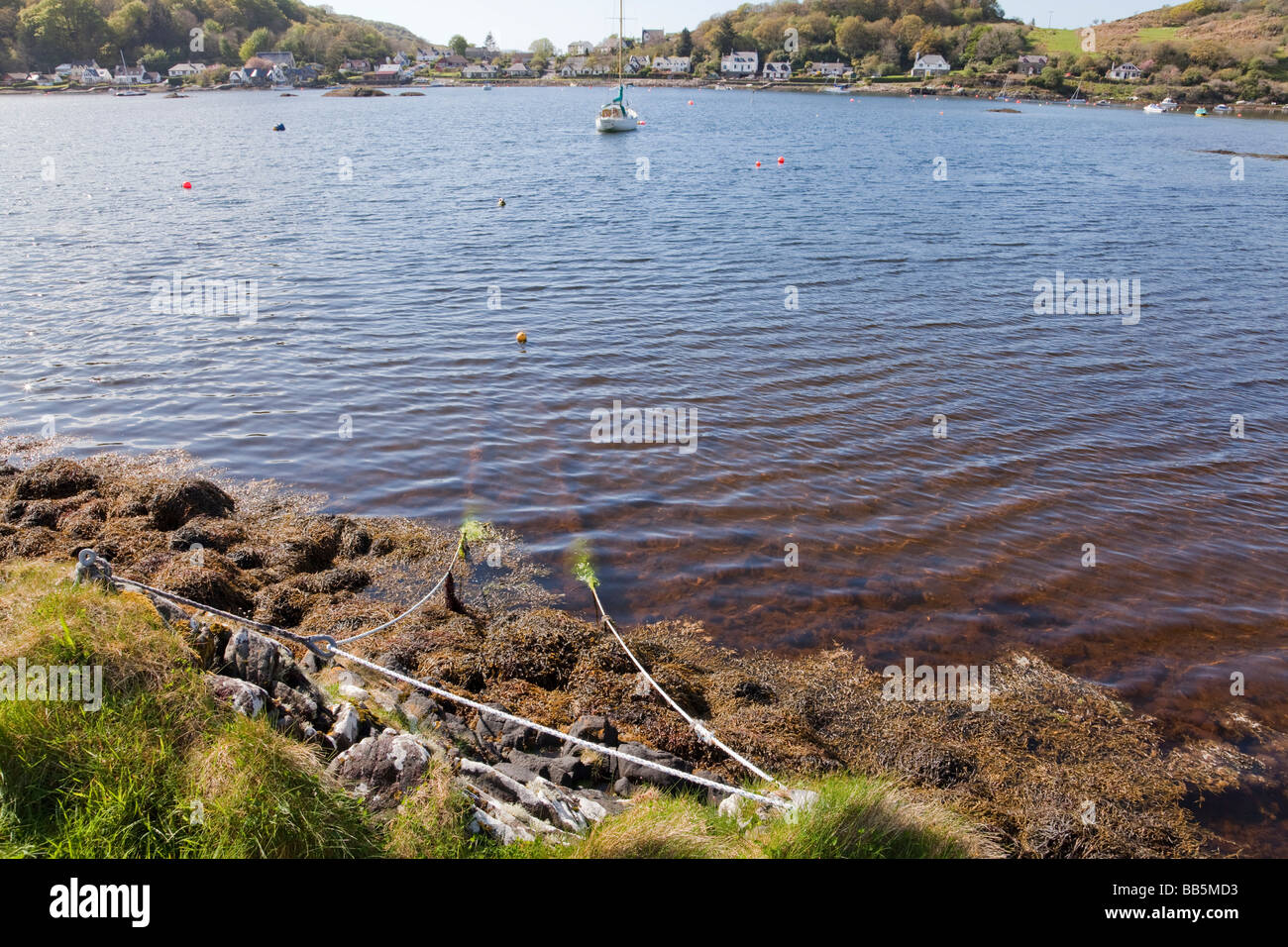 Tayvallich, Argyll, Scotland Stock Photo - Alamy