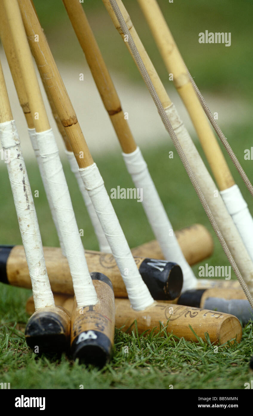 Polo ponies hi-res stock photography and images - Alamy