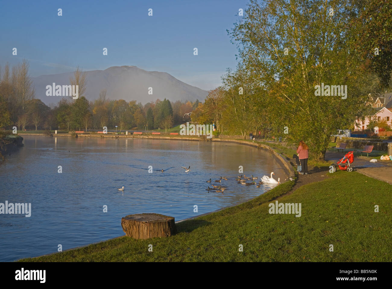 Autumn colours in the Trossachs Callander Ben Ledi mist Perthshire ...