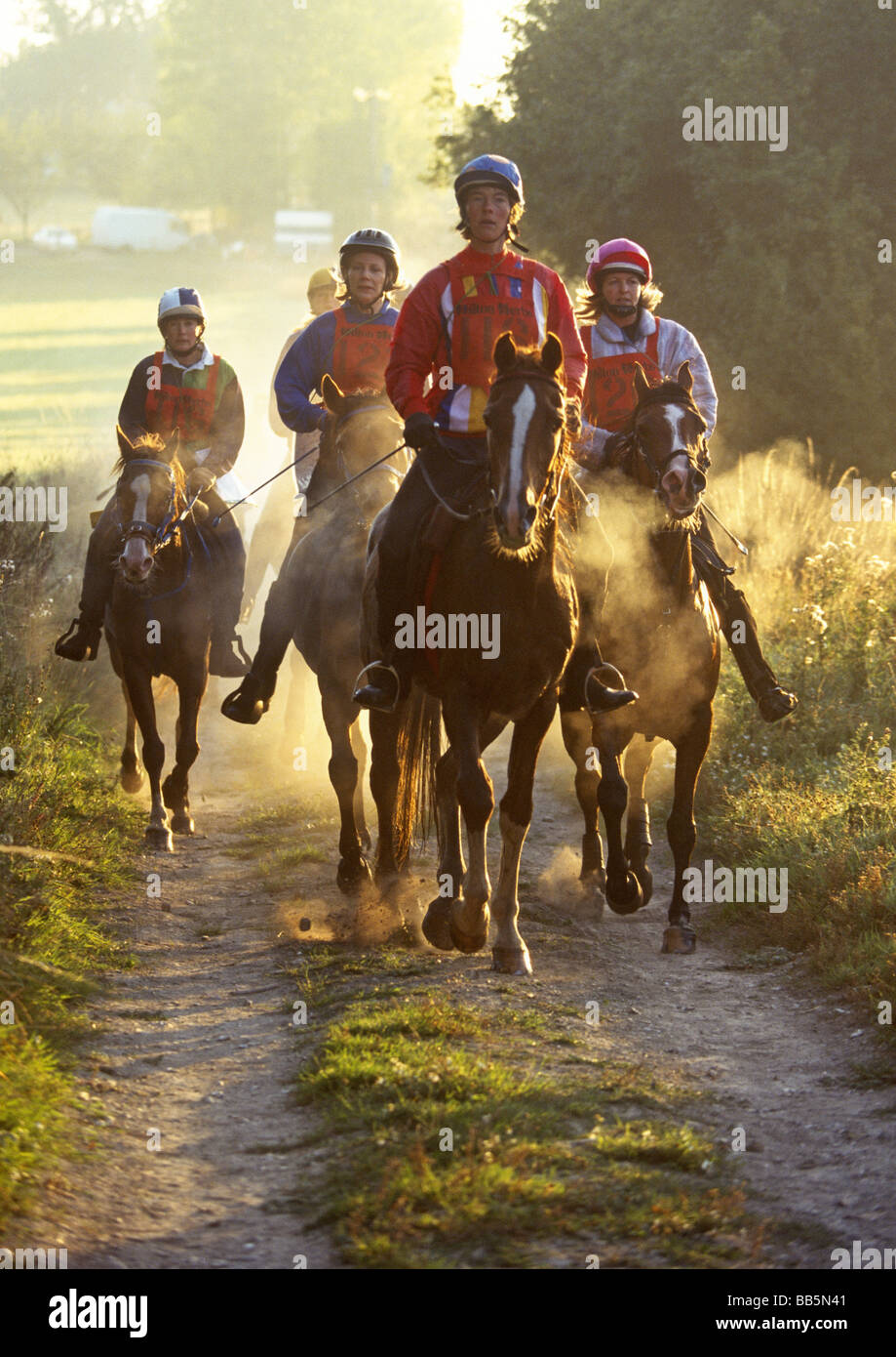 Endurance riding at sunrise Stock Photo - Alamy