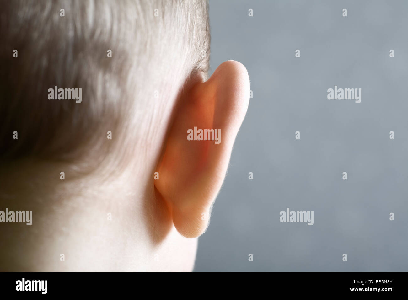 Close up view of baby's ear Stock Photo - Alamy