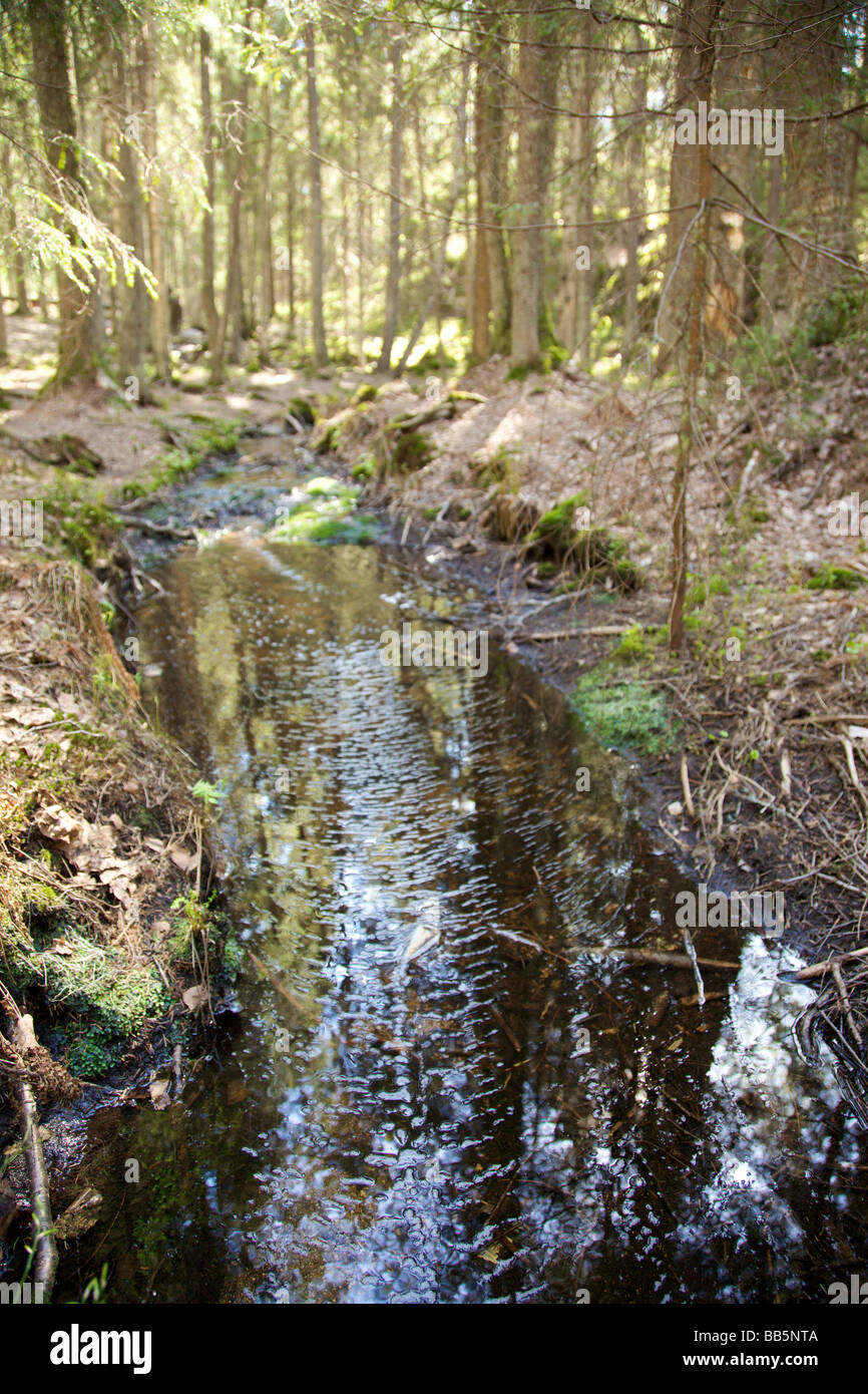 Stream in nuuksio park hi-res stock photography and images - Alamy