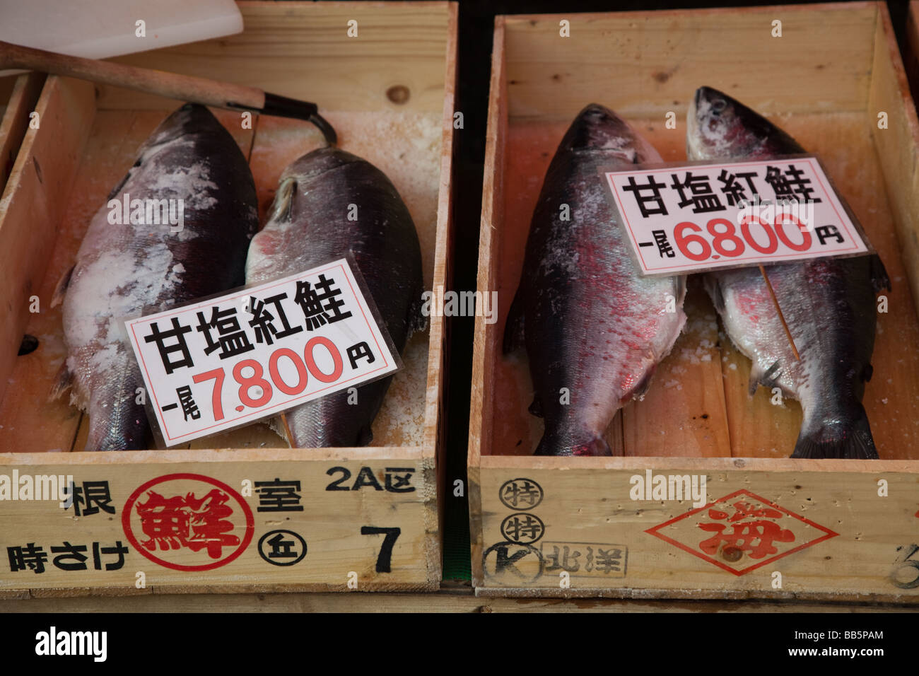Hakodate Asaichi Fresh Fish Stock Photo - Alamy