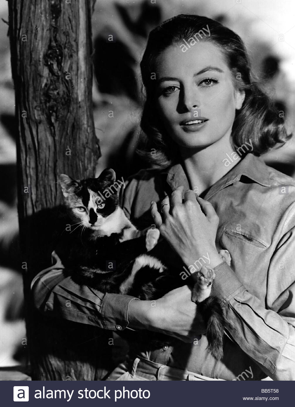 Capucine Actress High Resolution Stock Photography and Images - Alamy