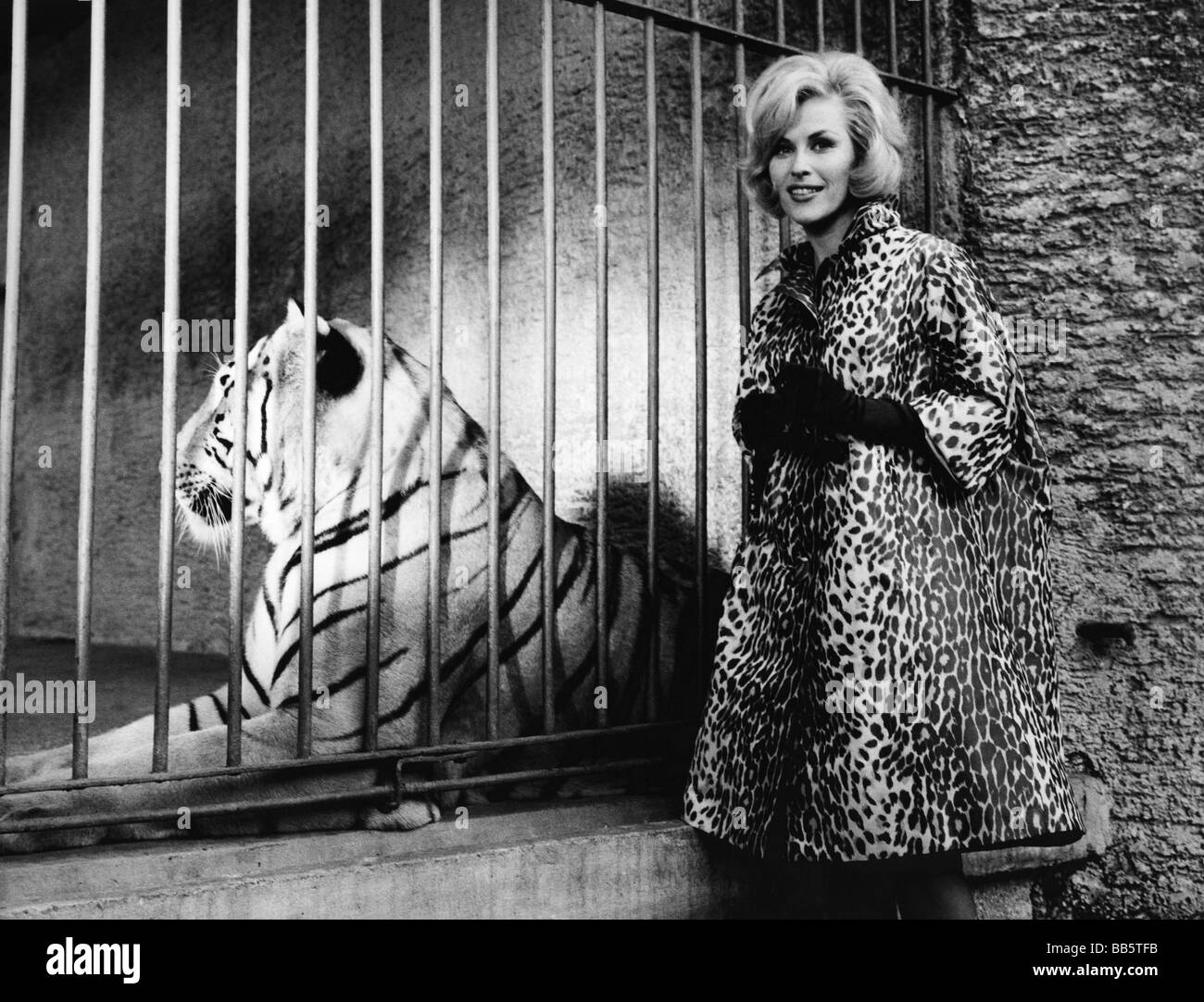 Swedish tiger Black and White Stock Photos & Images - Alamy