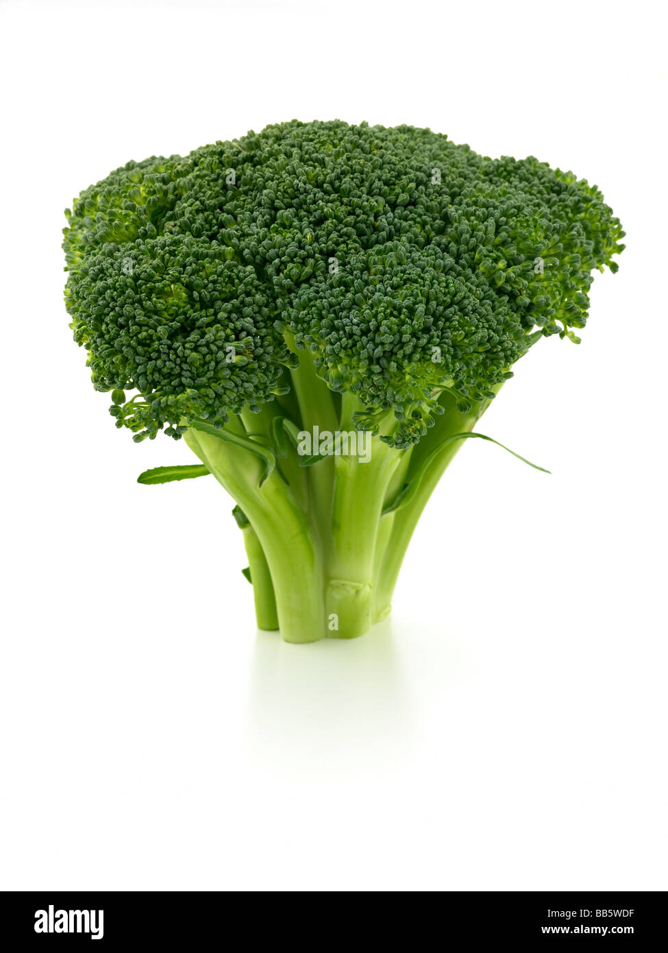 Broccoli cut out hi-res stock photography and images - Alamy