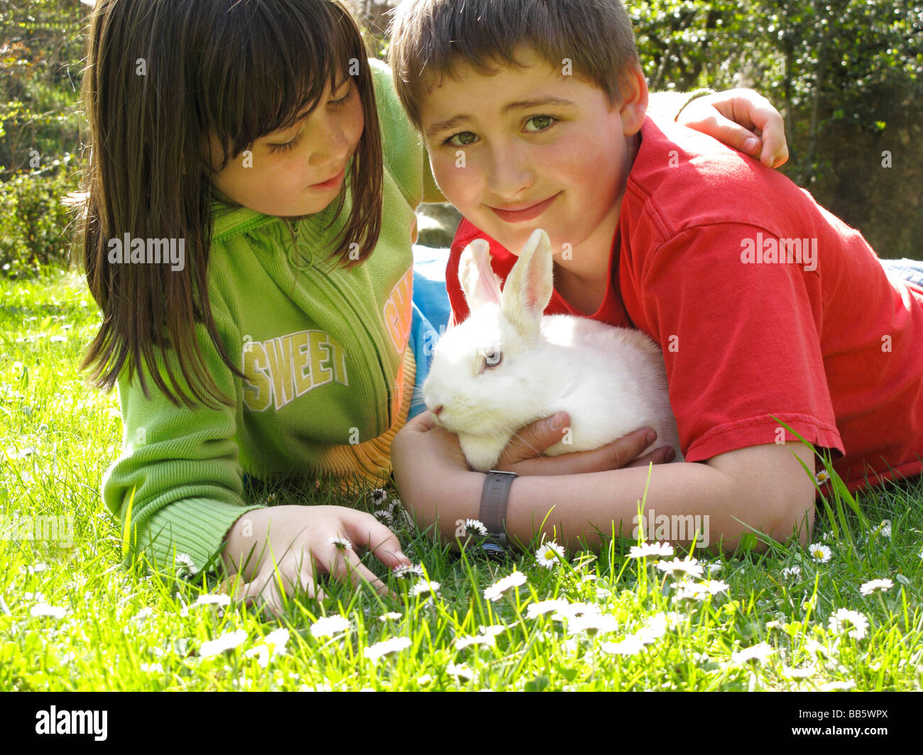 Pet rabbit and boy hi-res stock photography and images - Alamy