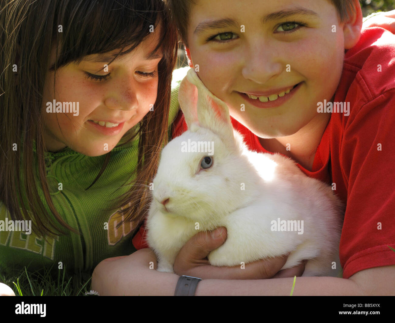 Garden rabbit two hi-res stock photography and images - Alamy