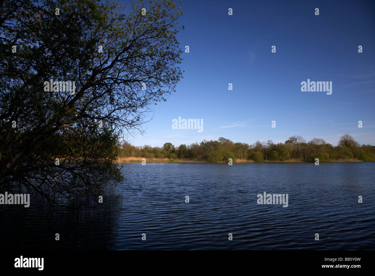 lough ross county monaghan republic of ireland eire this coarse fishery ...