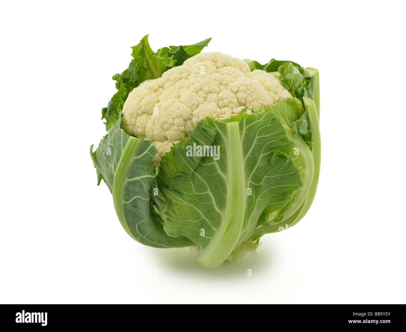 Cauliflower Leaves Stock Photos & Cauliflower Leaves Stock Images - Alamy