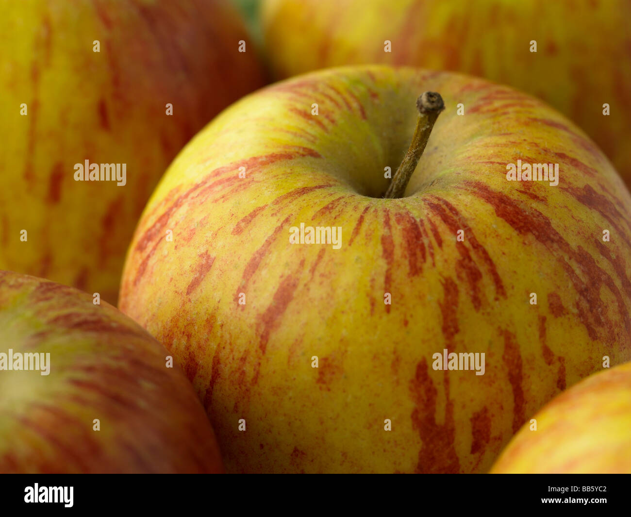 The cox group hi-res stock photography and images - Alamy