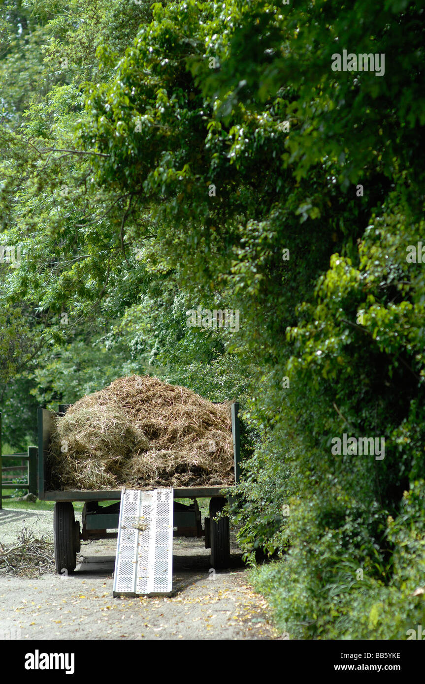 Pile of manure steaming hi-res stock photography and images - Alamy