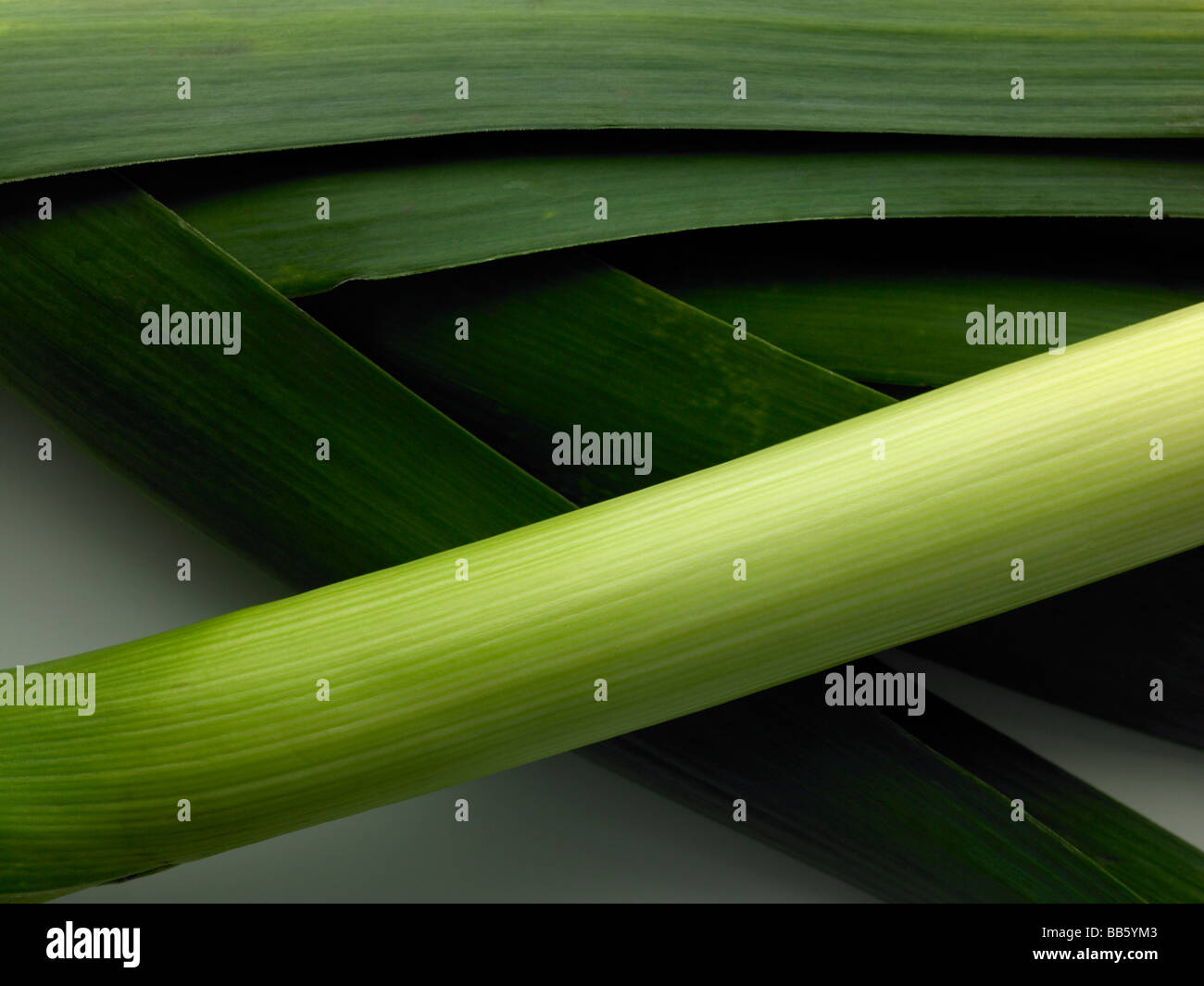 Welsh leeks wales hi-res stock photography and images - Alamy