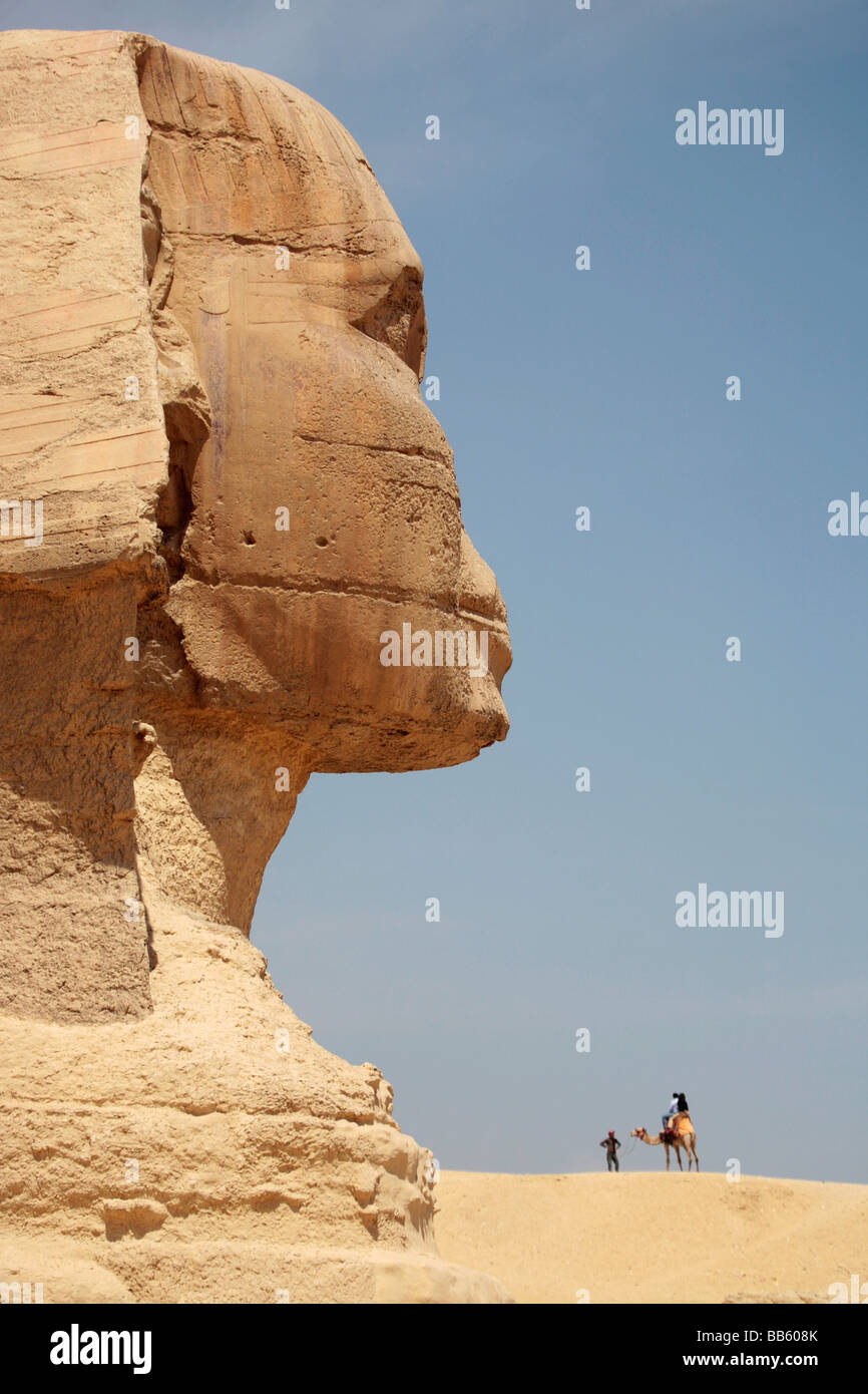 The Sphinx in Profile with camel on a distant hill Stock Photo - Alamy