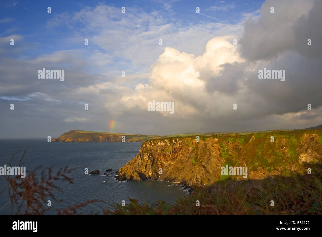 View across fishguard bay hi-res stock photography and images - Alamy