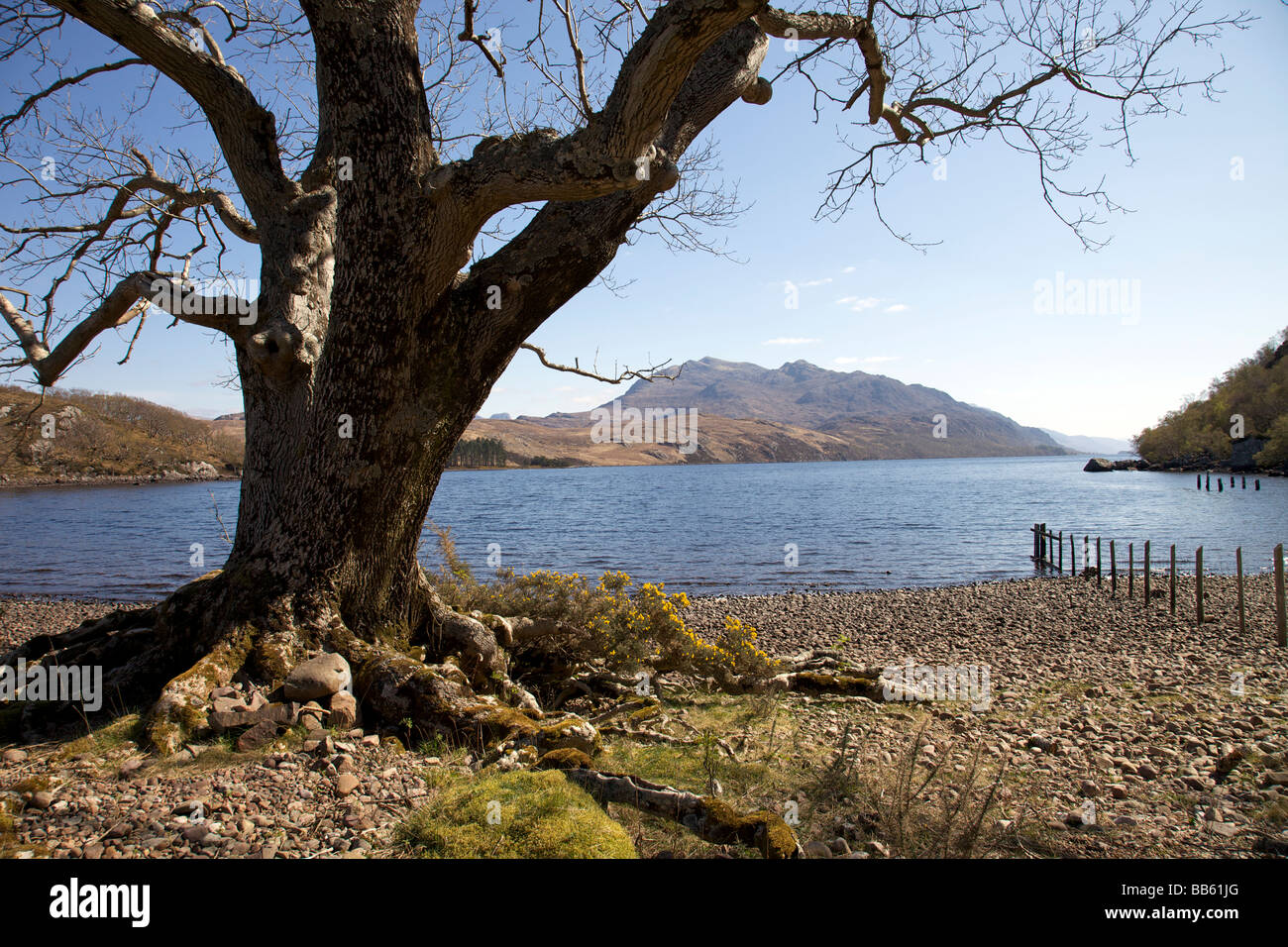 Beautiful Loch Maree near Poolewe Ross shire Scotland Stock Photo - Alamy