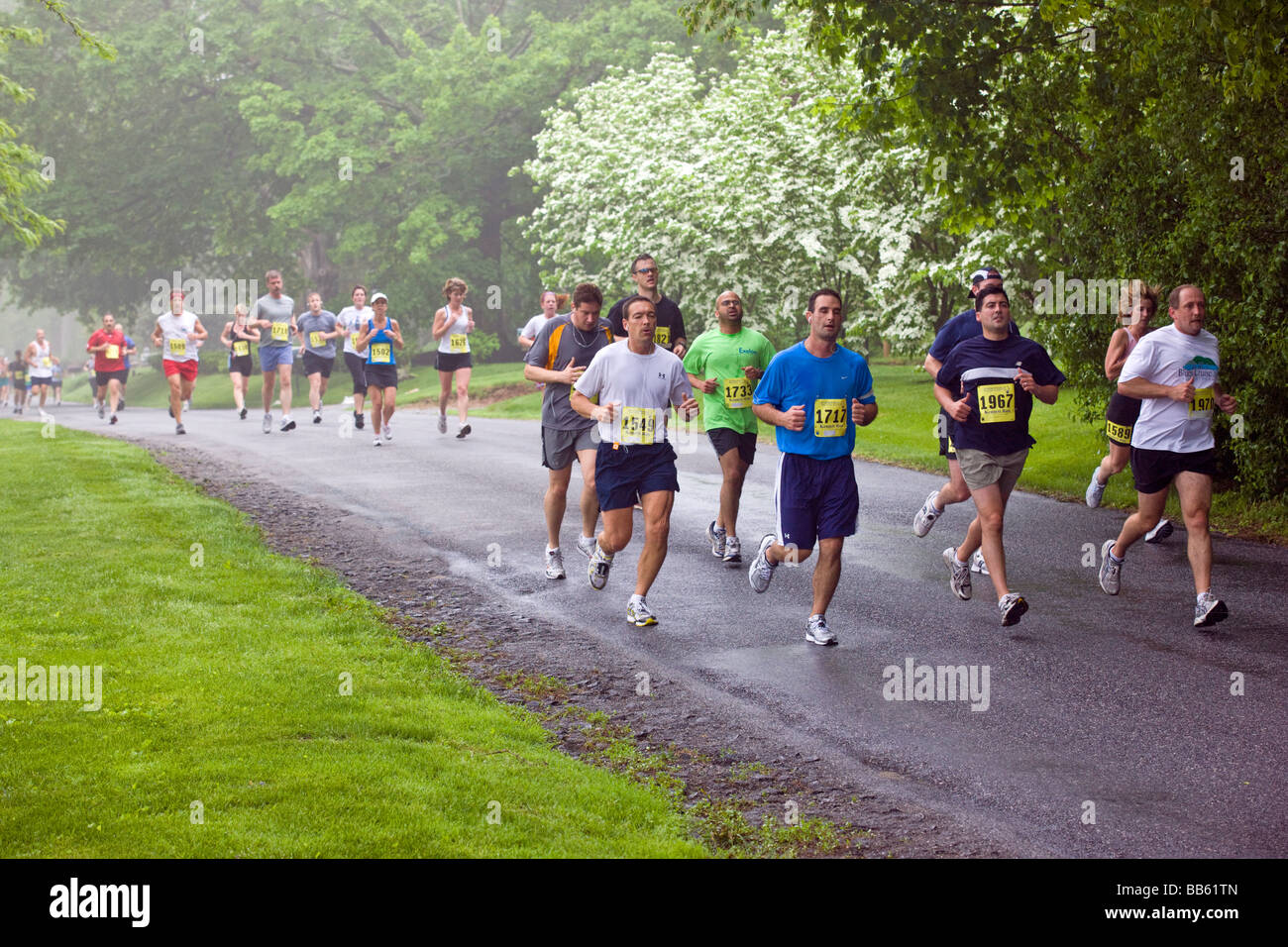 Train to run a 10k race hi-res stock photography and images - Alamy