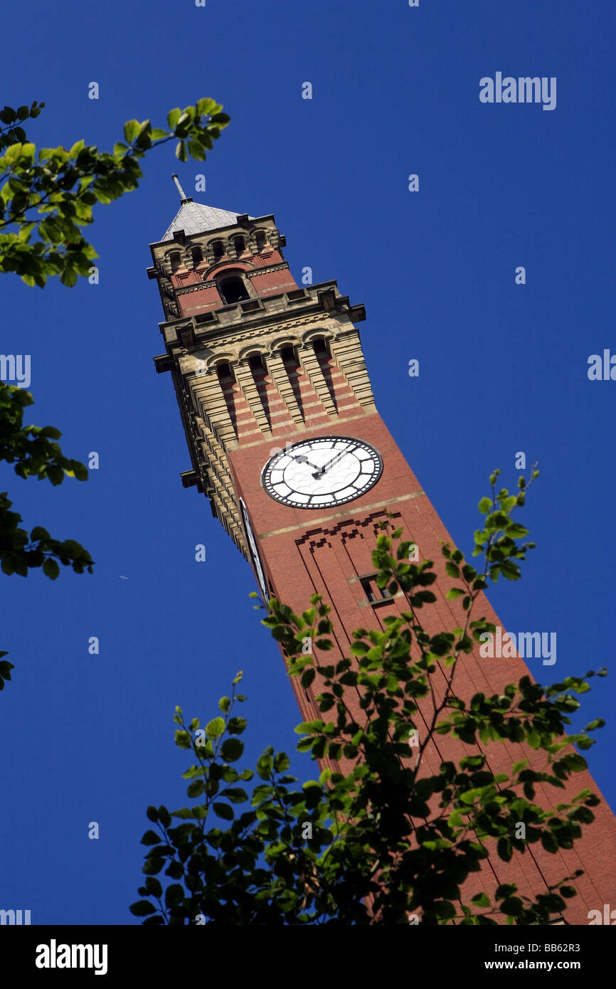 clock tower at the University of Birmingham Campus Stock Photo - Alamy