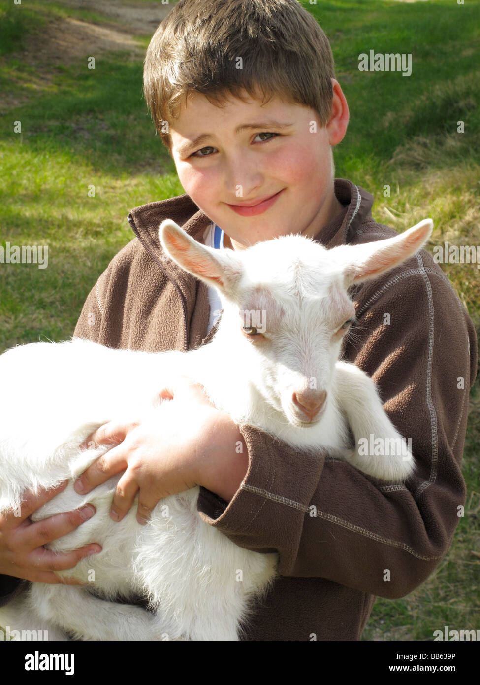 Boy holding a kid goat Stock Photo - Alamy