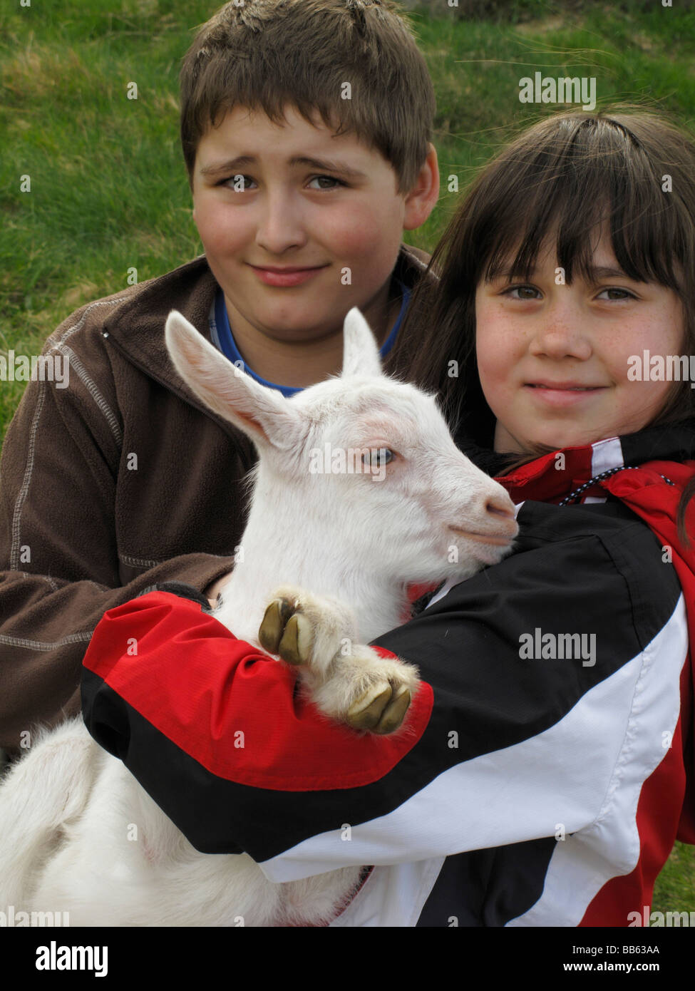 Boy and girl hugging goat in grass Stock Photo - Alamy