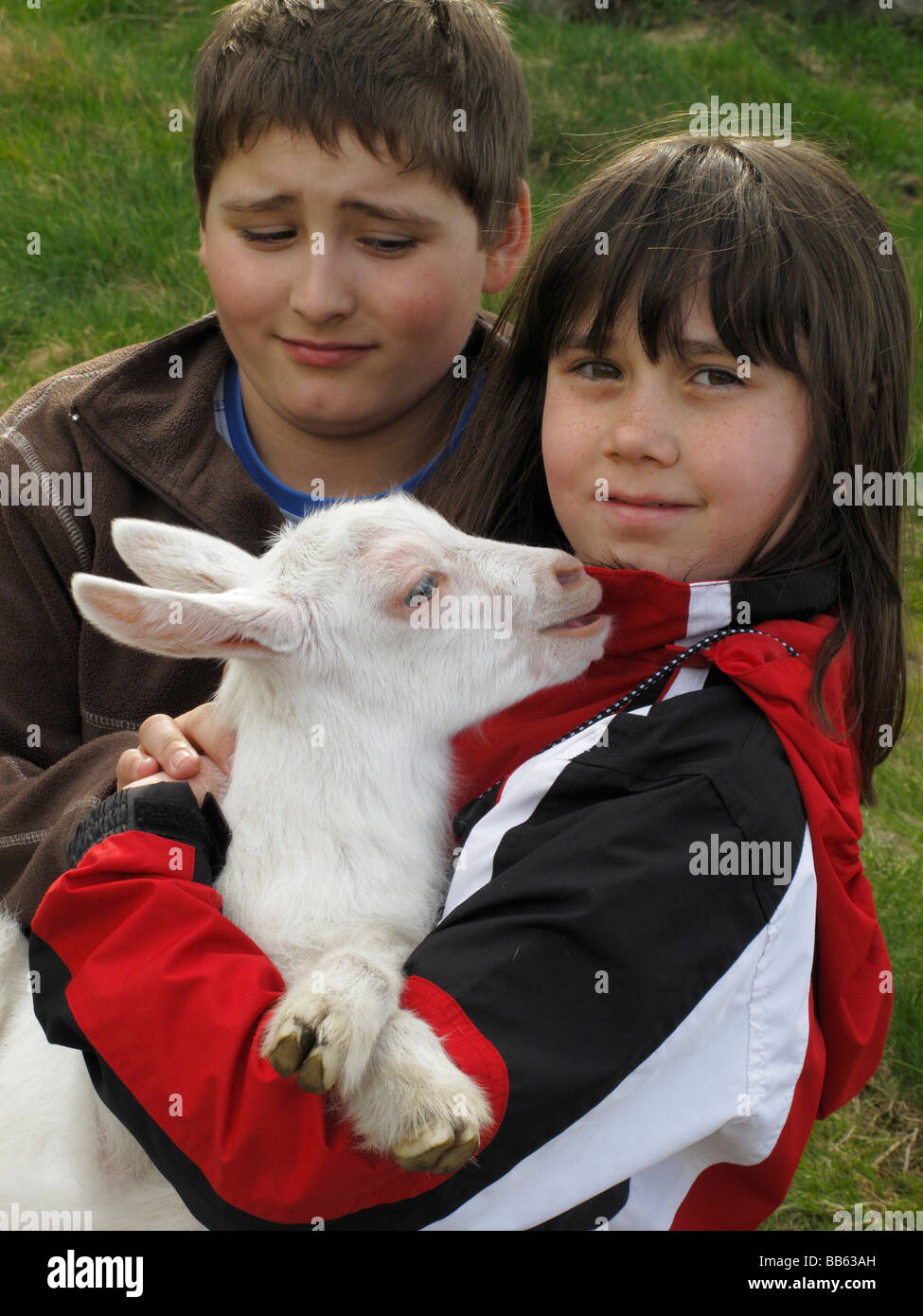 Boy and girl hugging goat in grass Stock Photo - Alamy