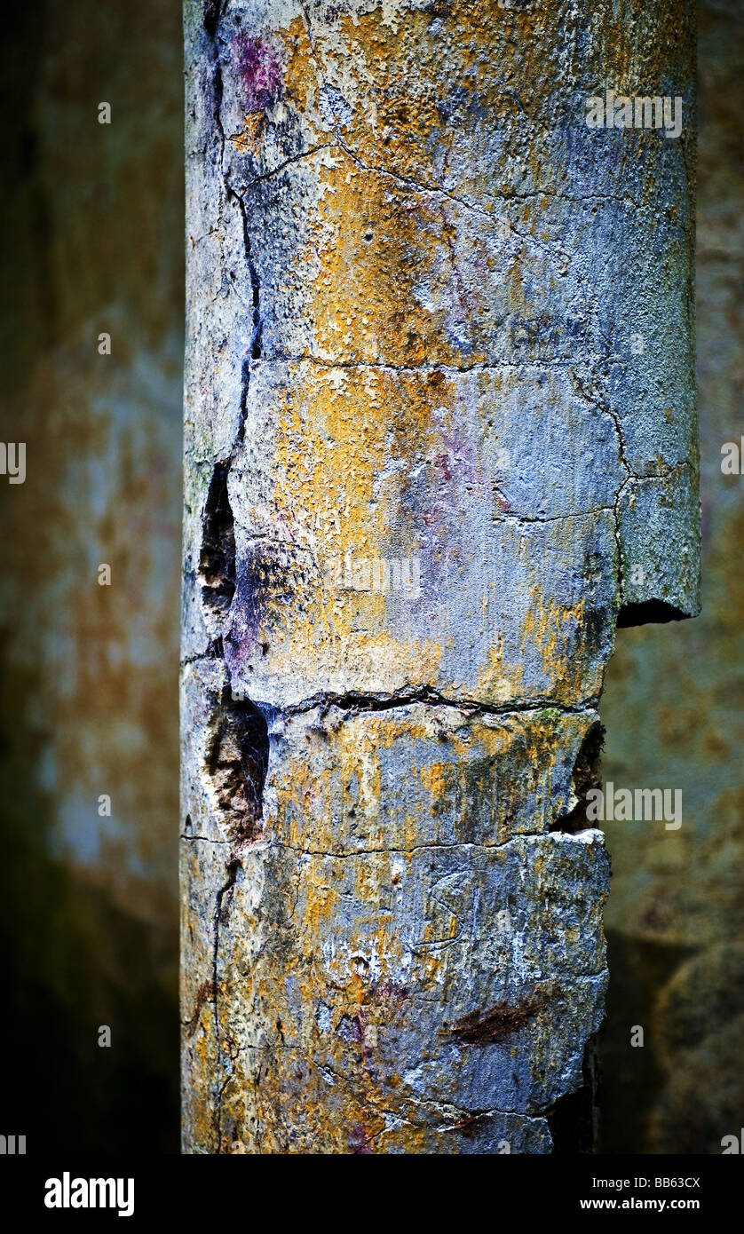 A cracked and crumbling pillar. Photo by Gordon Scammell Stock Photo ...