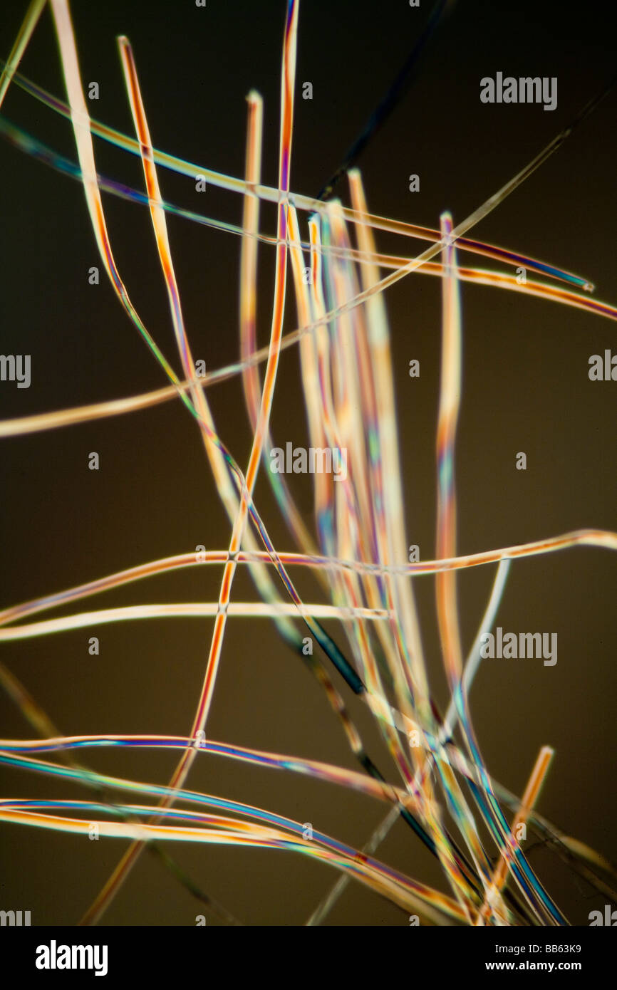 Polarized light microscope hi-res stock photography and images - Alamy