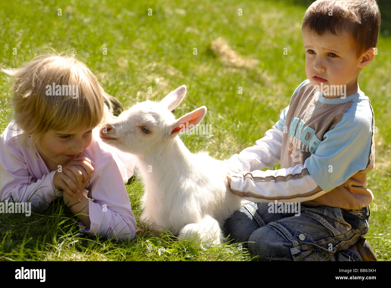 Boy and girl hugging goat in grass Stock Photo - Alamy