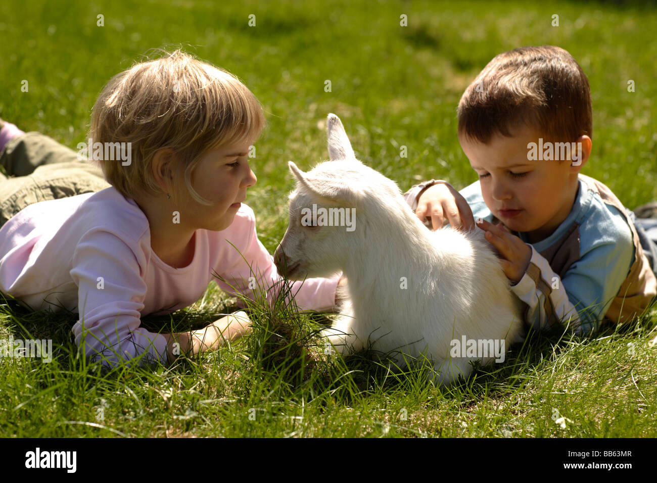 Boy and girl hugging goat in grass Stock Photo - Alamy
