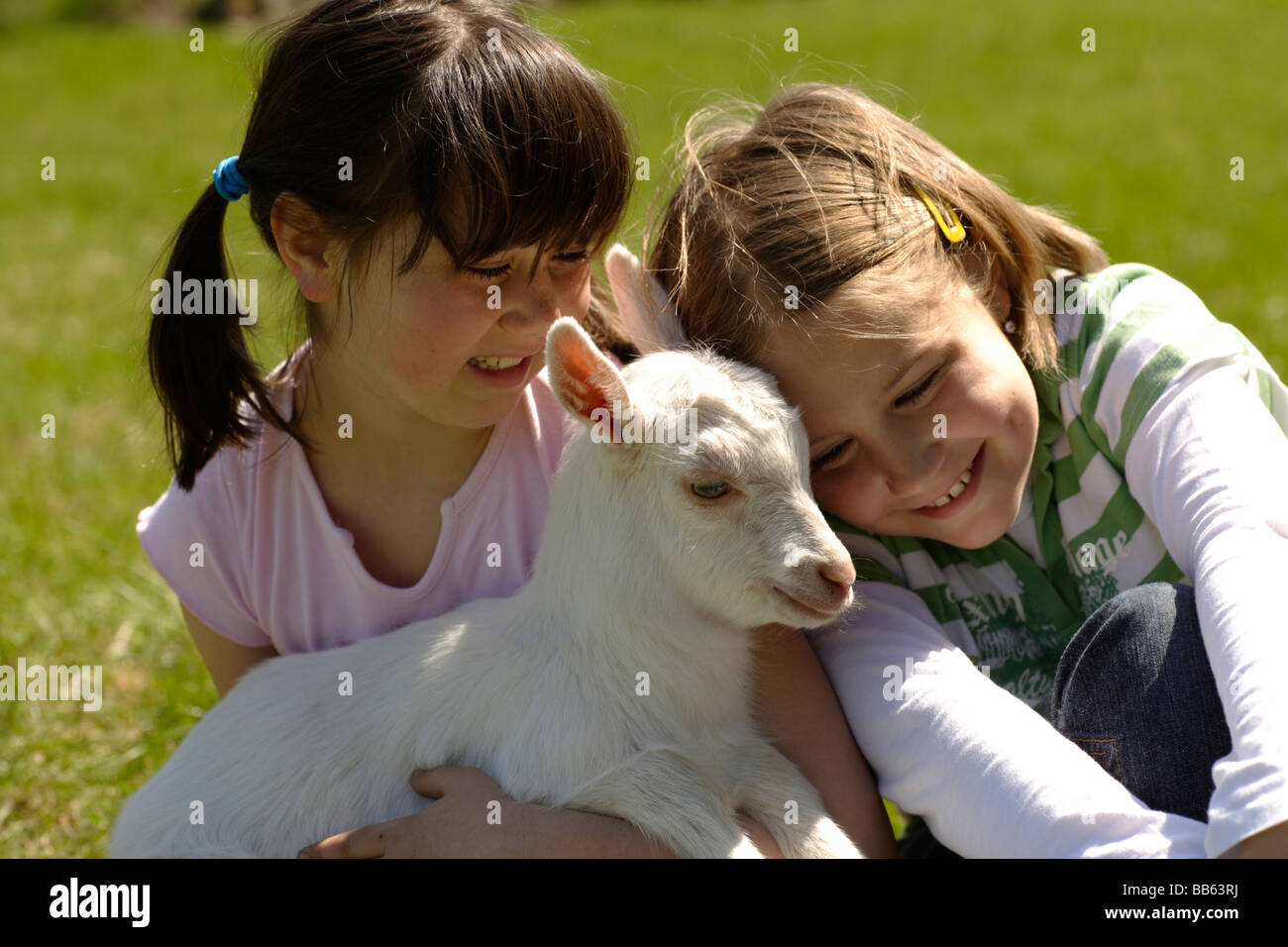 Girls hugging goats in grass Stock Photo - Alamy
