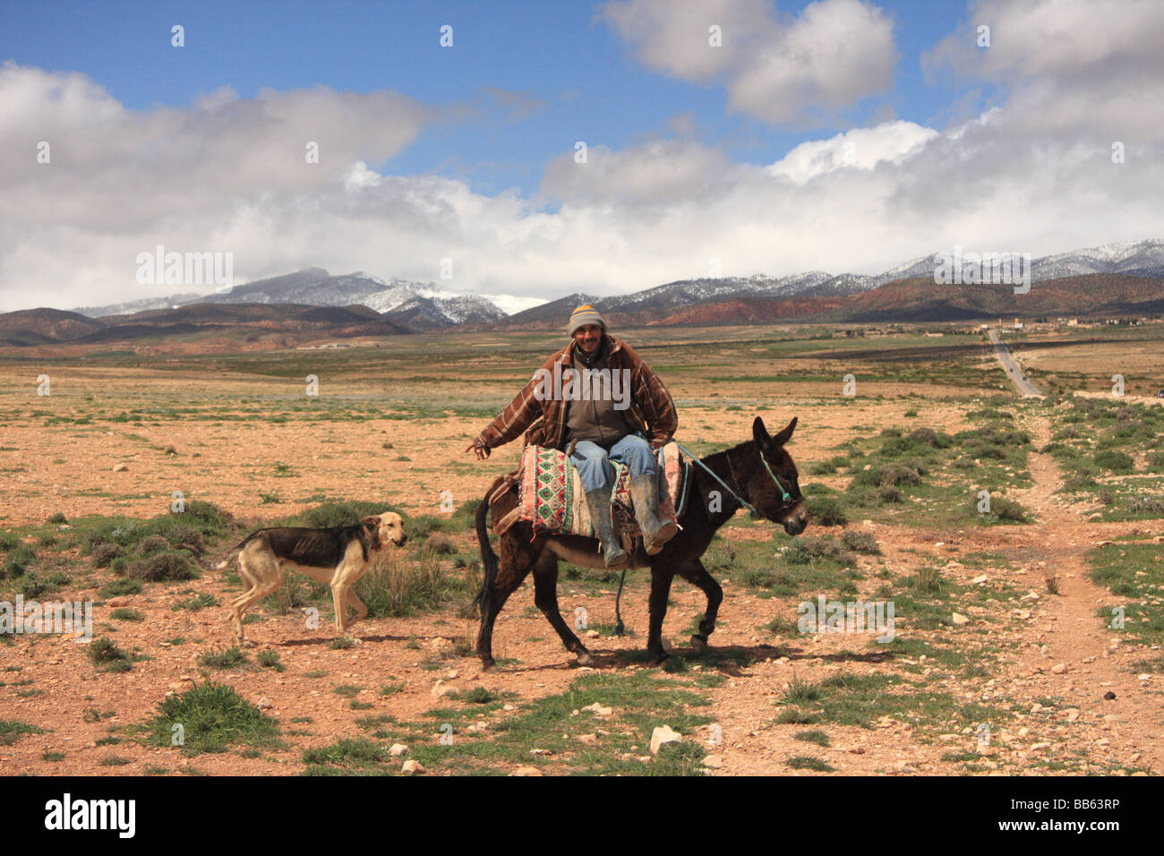 Man rides donkey followed by dog on a plateau beneath the snow-capped ...