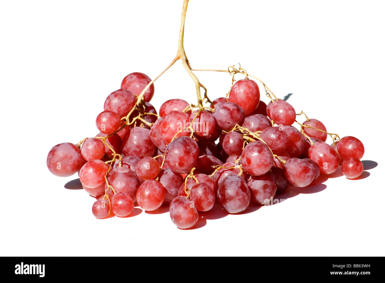 Cluster of red grapes on white background Stock Photo - Alamy