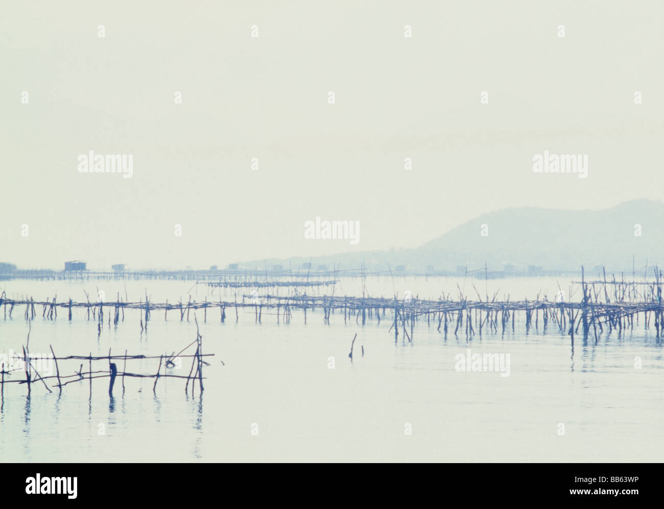Vietnam fish farm hi-res stock photography and images - Alamy