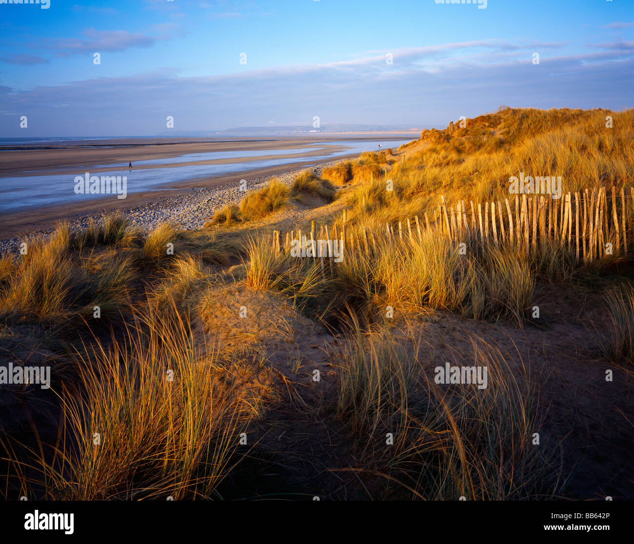 Northam Burrows sand dunes at Westward Ho!, Devon, England Stock Photo ...