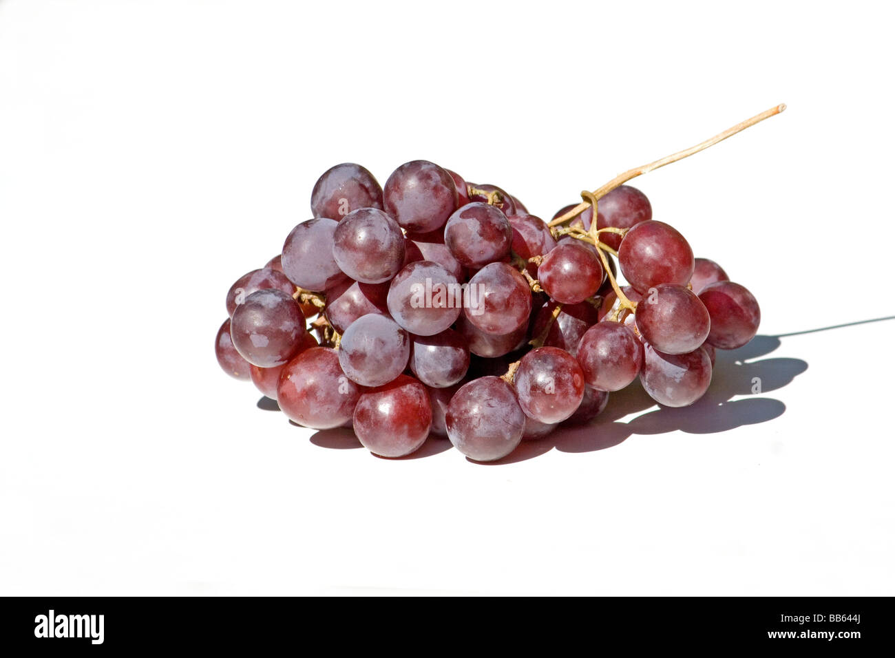 Red grapes on white background Stock Photo - Alamy